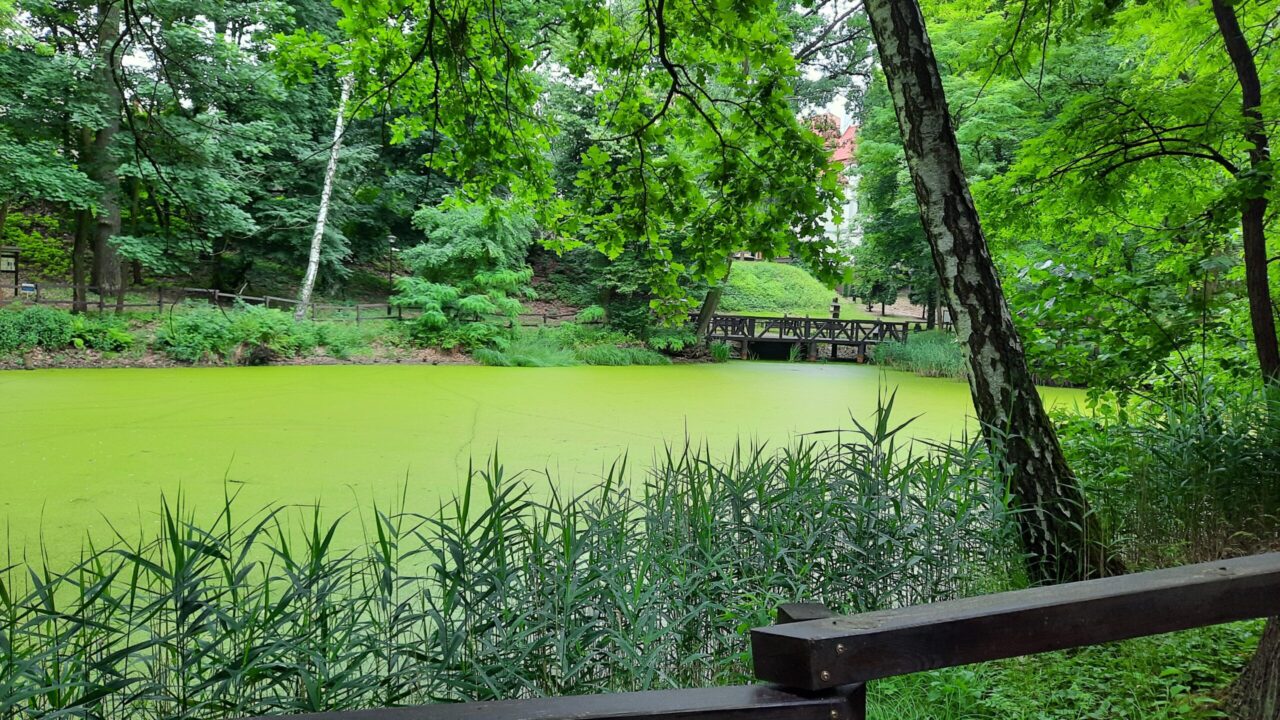 Park DPS Zielonka - GdzieNaWycieczke.pl